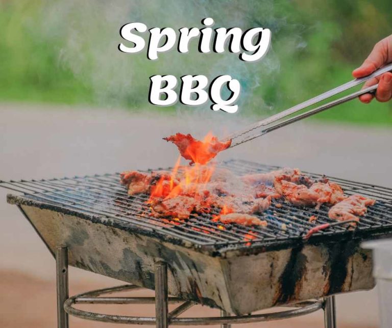 The Best BBQ Recipes for Your Spring BBQ - Handi-foil